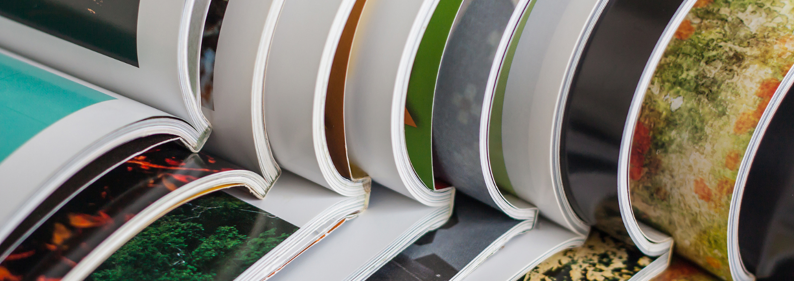 Position papers | ESTP